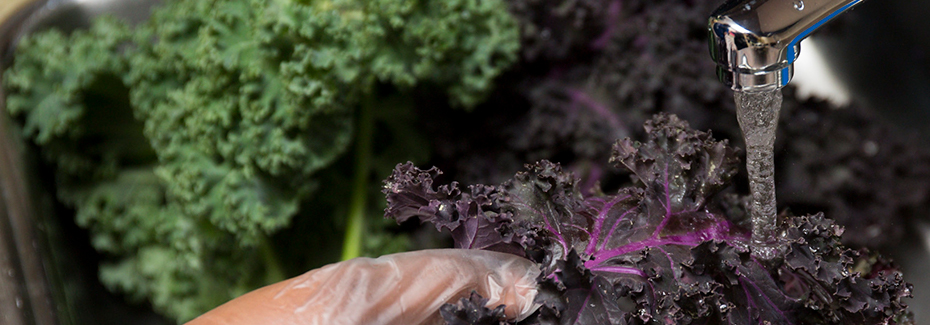 Gardening Solutions - University of Florida, Institute of Food and ...