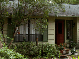 Planting Around Windows – Gardening Solutions