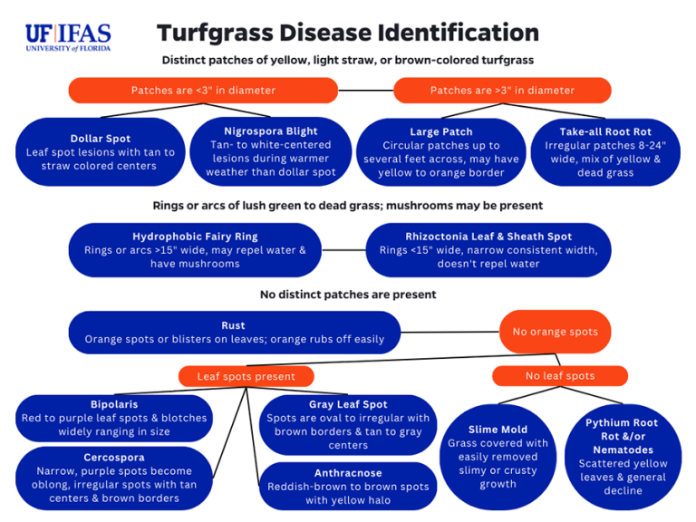 Turfgrass Disease Flowchart – Gardening Solutions