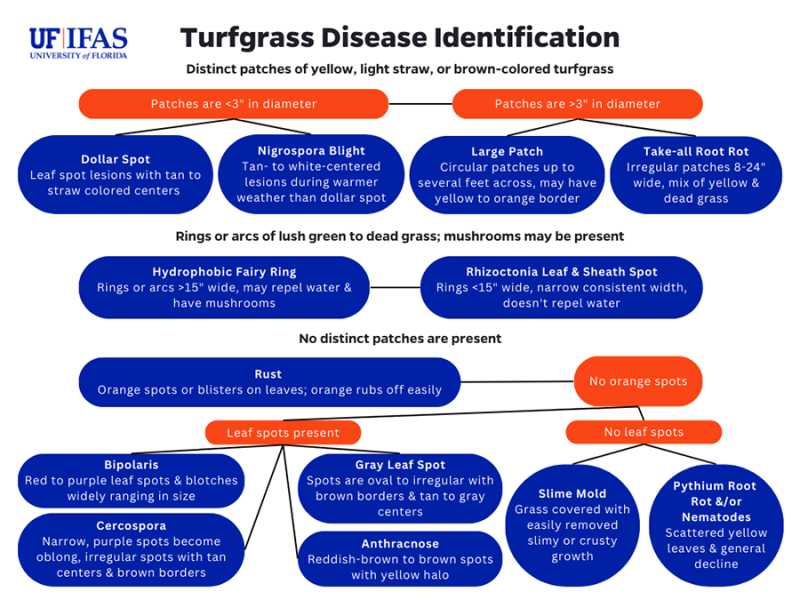Turfgrass Disease Flowchart – Gardening Solutions