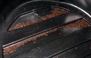 Lawn Shrimp – Gardening Solutions